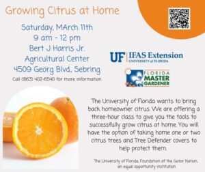 Citrus Greening Prevention | The Tree Defender – Citrus greening ...