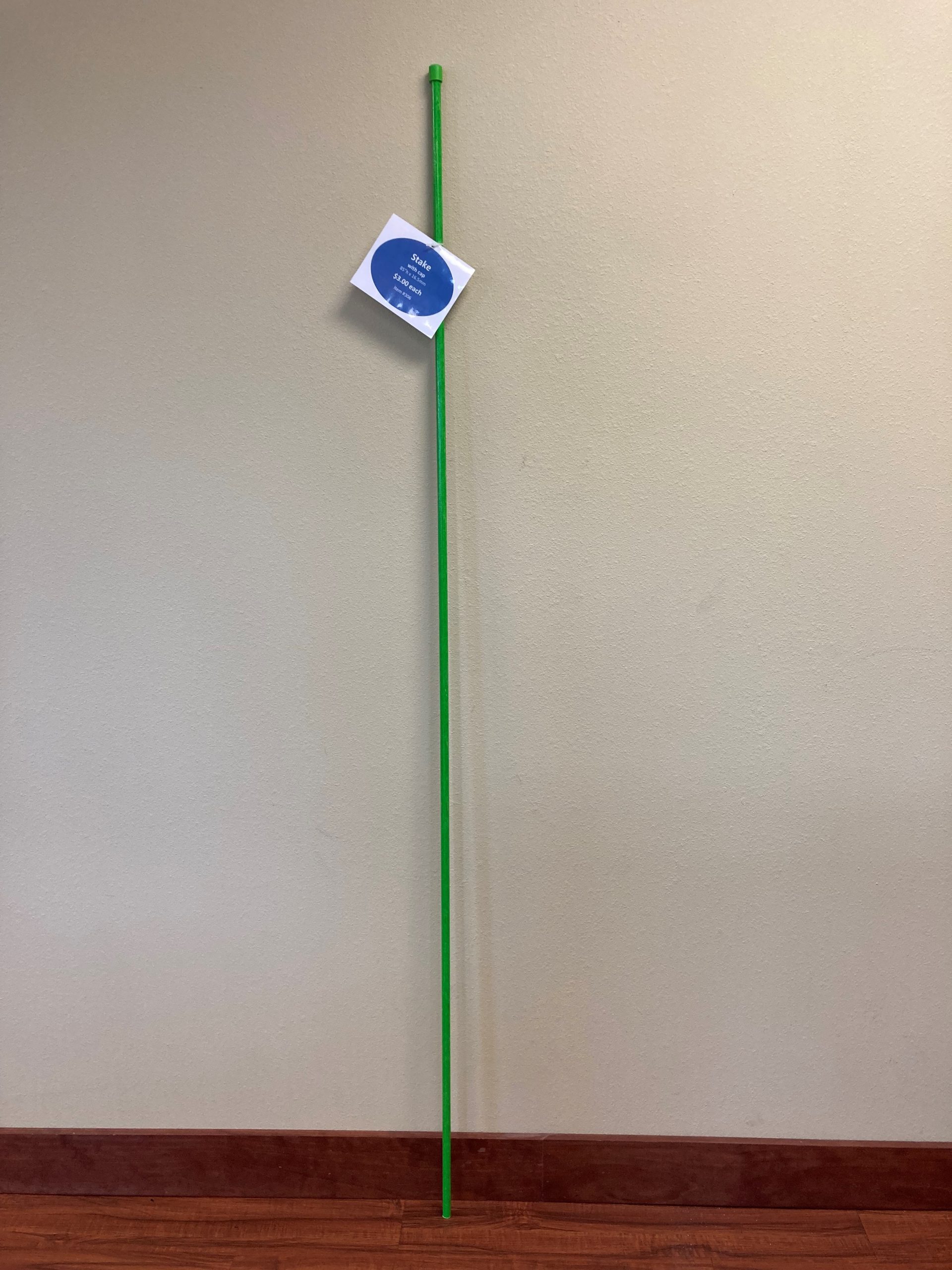 Support Stake – Citrus Greening Prevention | The Tree Defender